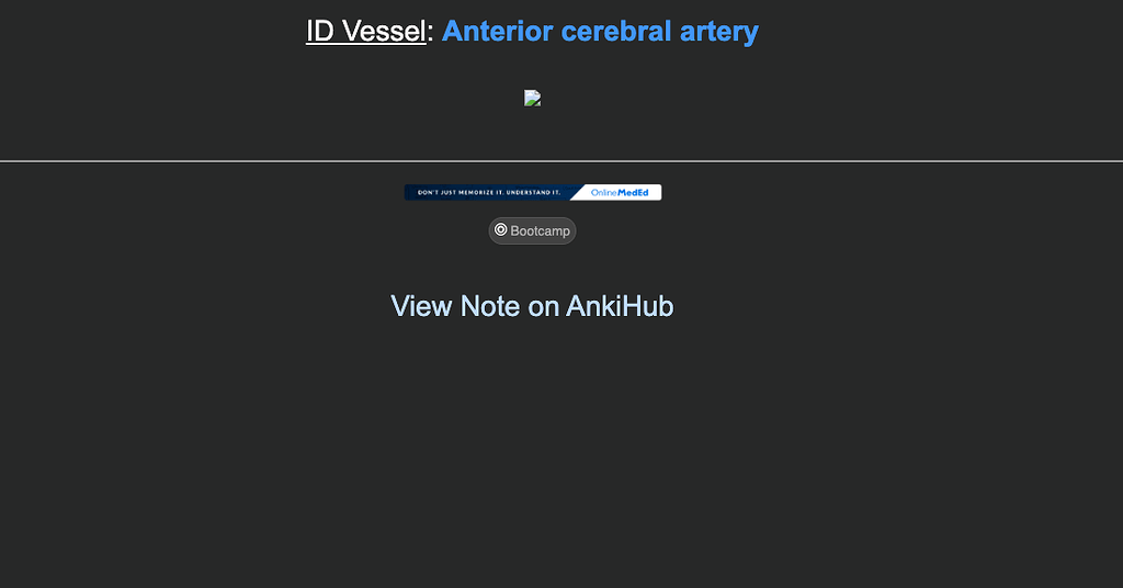 Anking v12 images not showing up in question stem - 🙋 Support - AnkiHub ...